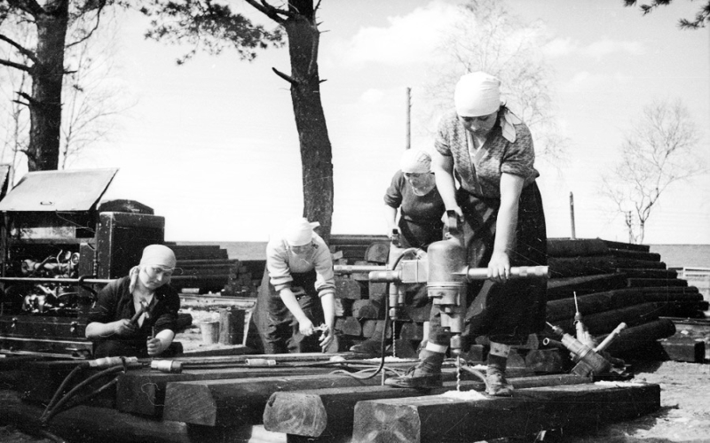 by 1935 the proportion of women workers in the ussrâ€™s workforce was ...